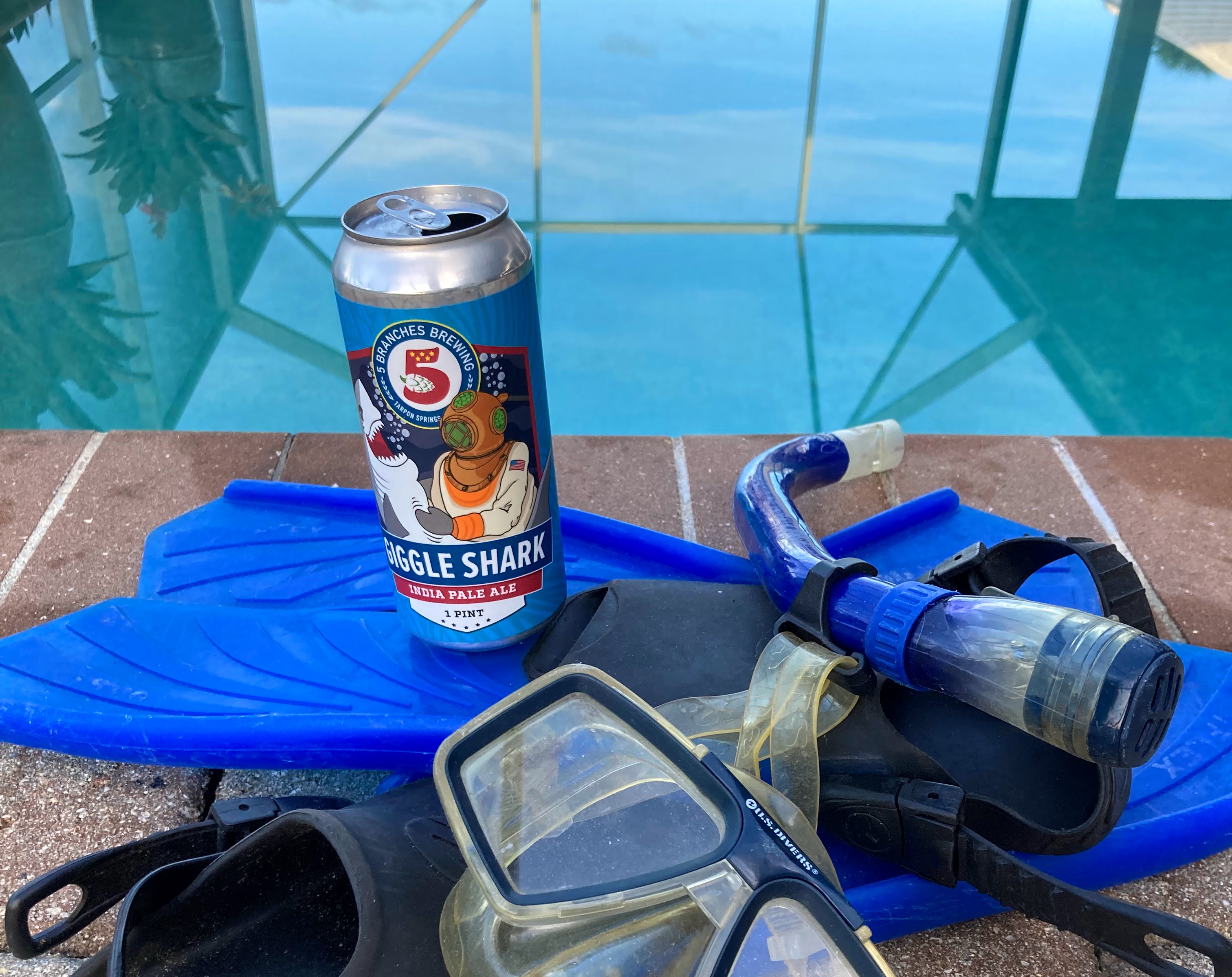 GIGGLE SHARK – Beer Can Cottage